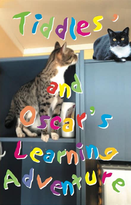 Tiddles' and Oscar's Learning Adventure - Rescued Cats Adventure Series